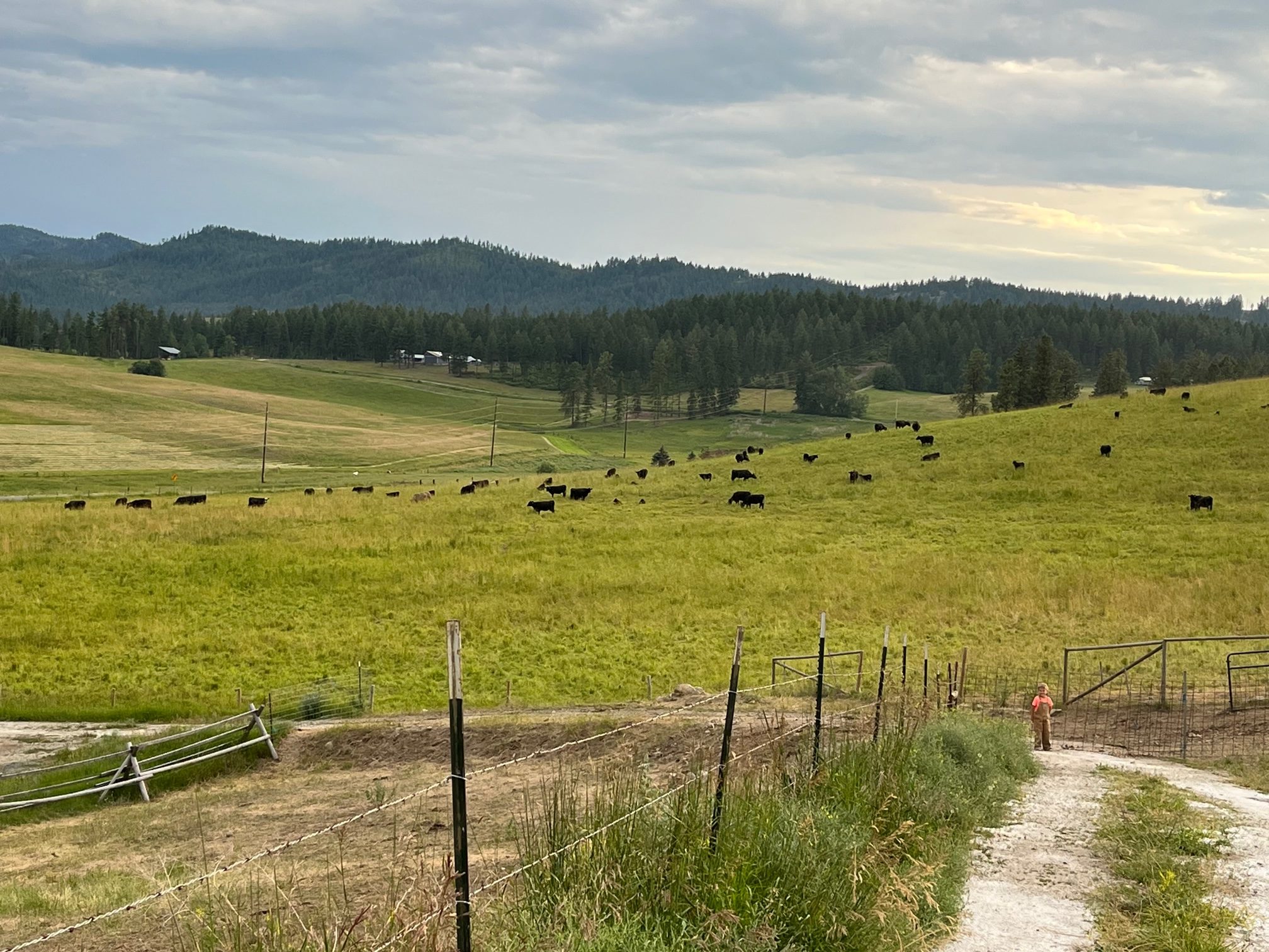 Welcome - Farm Fresh Northwest